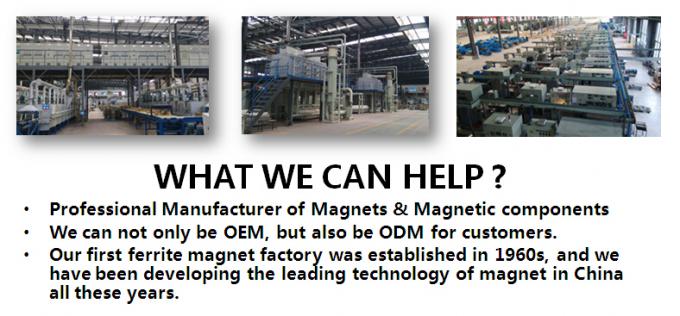 NdFeB Halbach Array Magnets , BLDC Motor Neodymium Magnetic Assembly